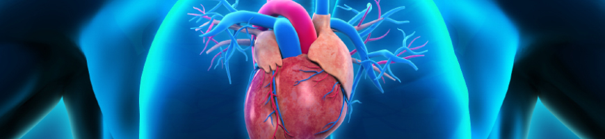 Home | SMP Cardiology and Cardiovascular Medicine | SciMed Press | Open ...