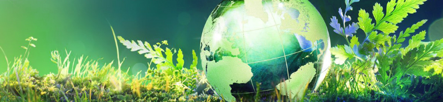 Home | SMP Environmental Science and Technology | SciMed Press | Open ...